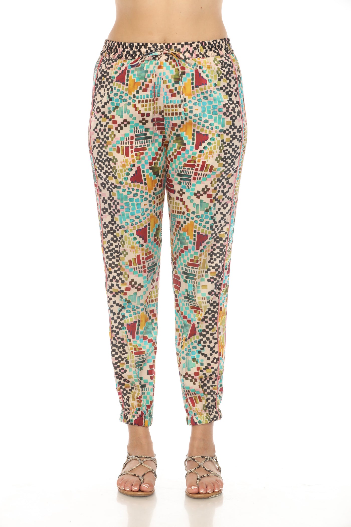 Women's Genora Paneled Jogger Pants C64324A8 | Johnny Was — AfterRetail